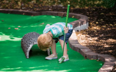 Ride Park | Fun-Plex - Omaha, Nebraska